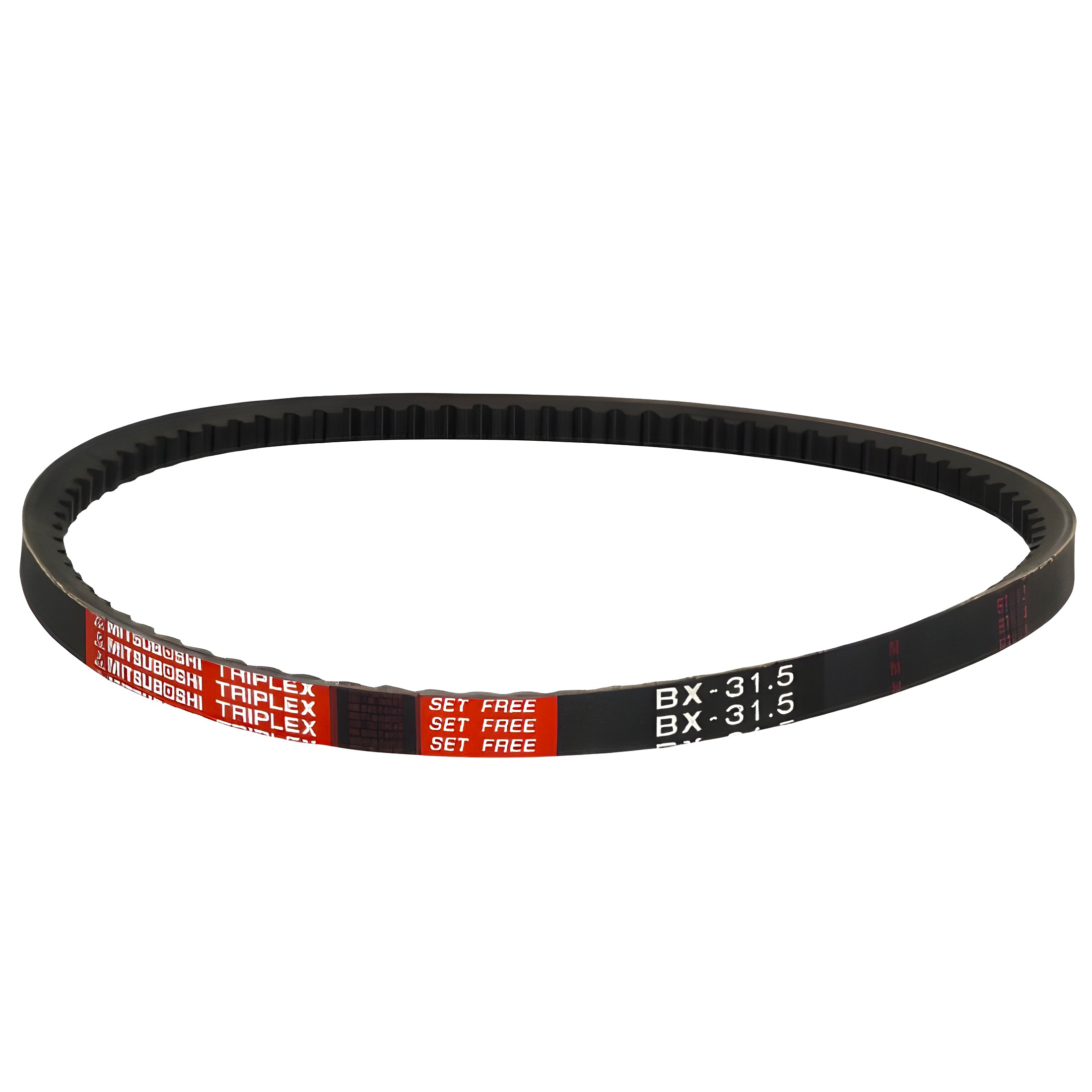 BX31.5 Mitsuboshi Tandad Kilrem 17x800 (Li)